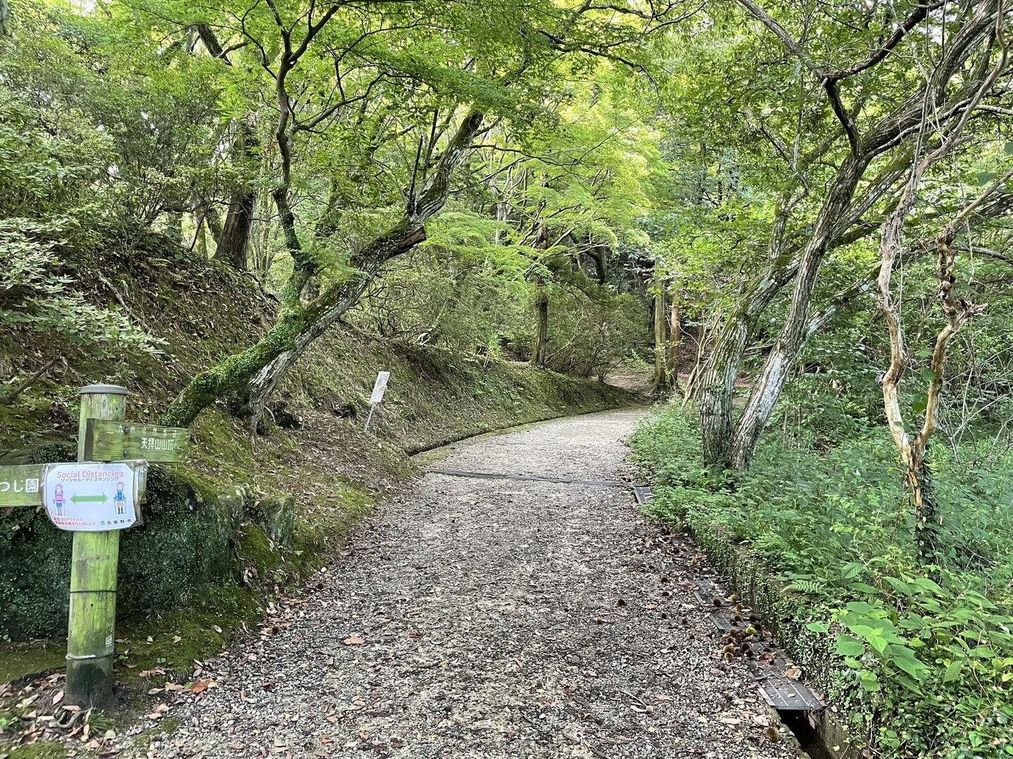 天拝山・奥天拝 / okさんの天拝山・基山の活動データ | YAMAP / ヤマップ