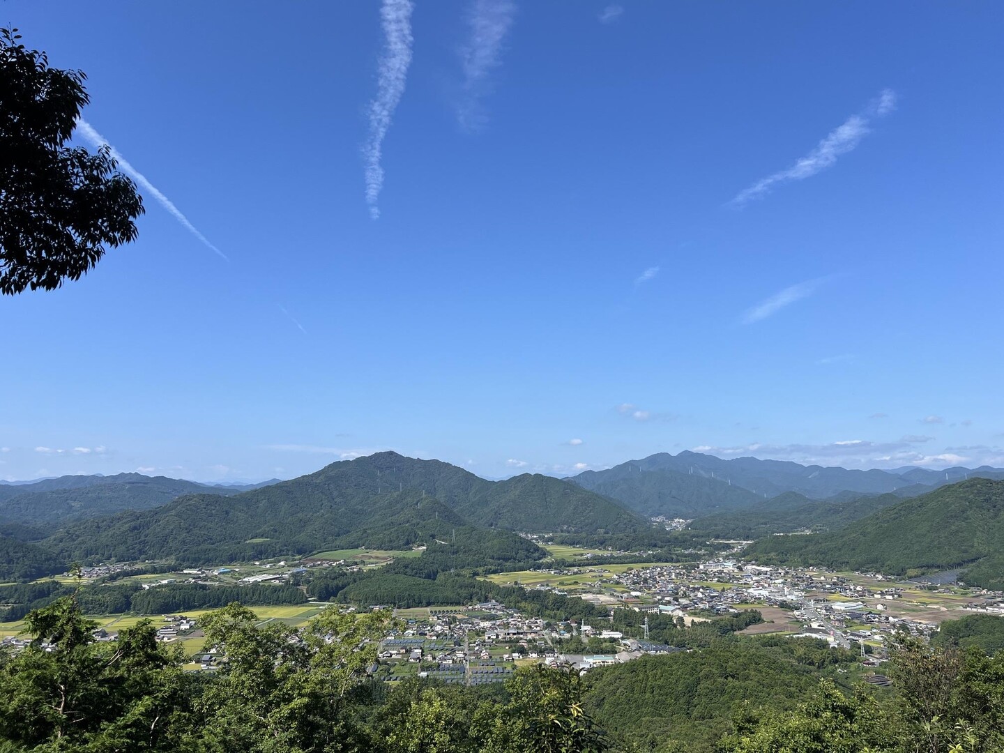 田古加山（215m）、ひよどり城址（266m） / lilyさんの烏岳の活動データ | YAMAP / ヤマップ
