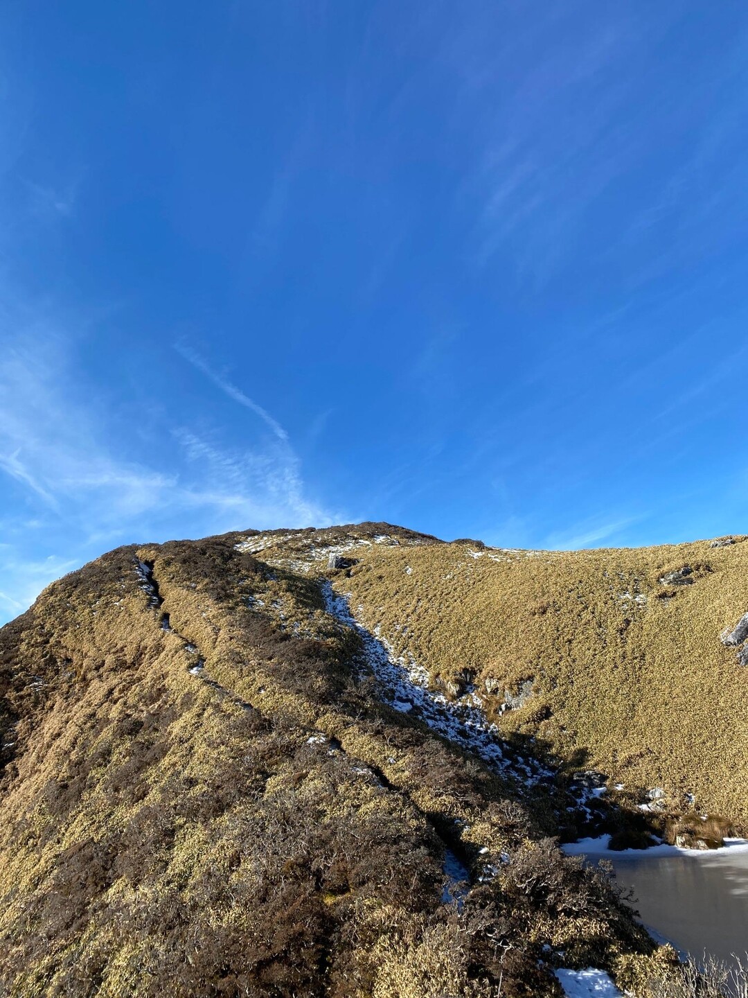 三嶺 / benchanさんの三嶺・天狗塚・石立山の活動データ | YAMAP / ヤマップ