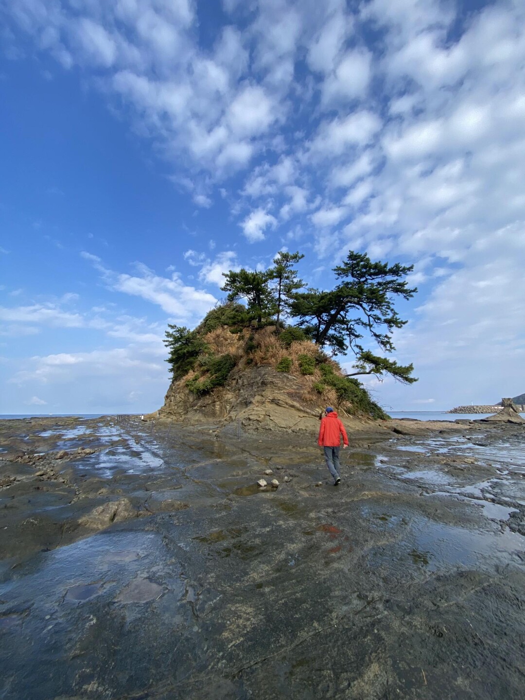 進路は東から西へと〜いきなり九州へ22座GET🤗 / 永遠の中2さんの多賀山・豊前坊山・明神ヶ辻山の活動データ | YAMAP / ヤマップ