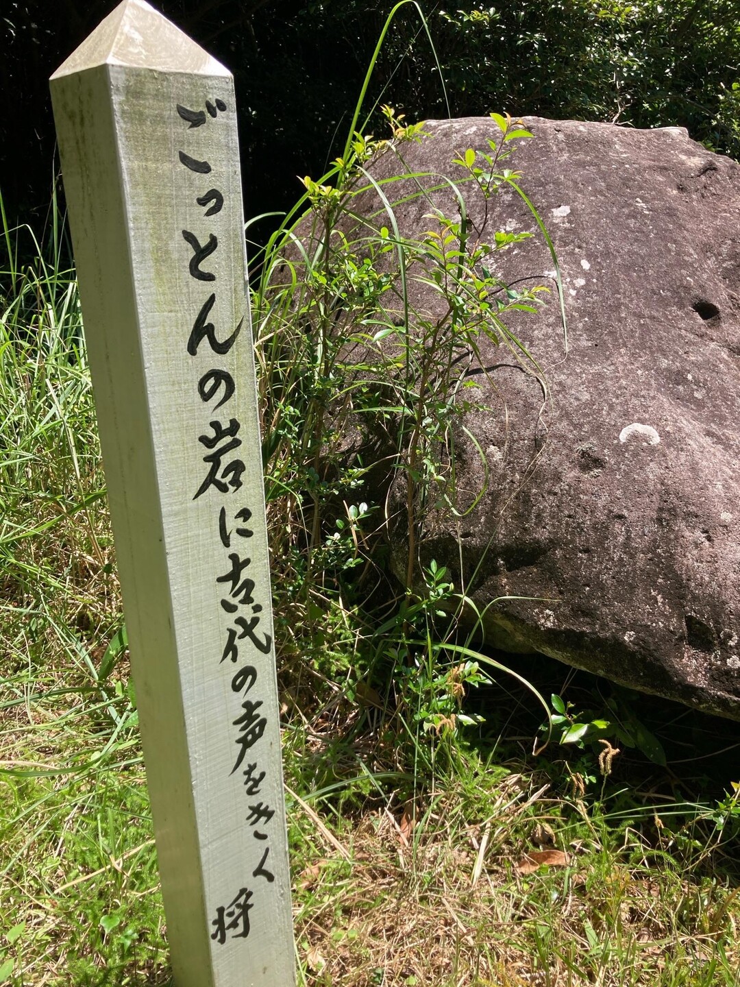 「ごっとん岩」と「大関山・国見山」 / IMATさんの大関山・国見山の活動データ | YAMAP / ヤマップ