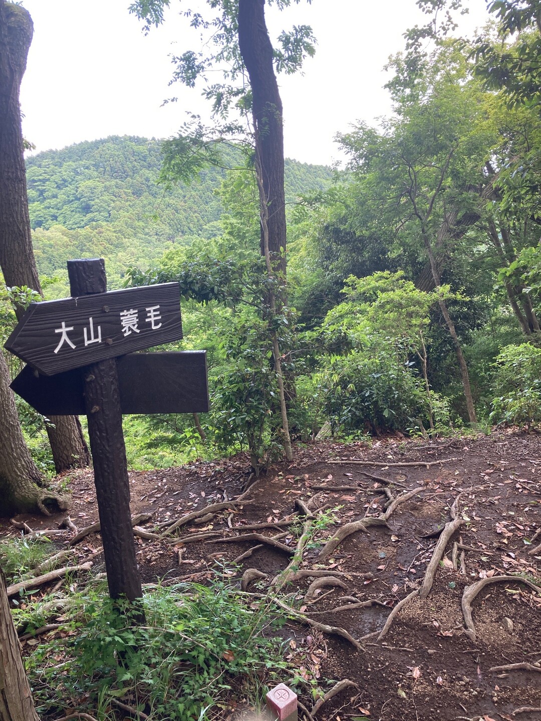 Nakkoさんさんの投稿したフィールドメモ | YAMAP / ヤマップ