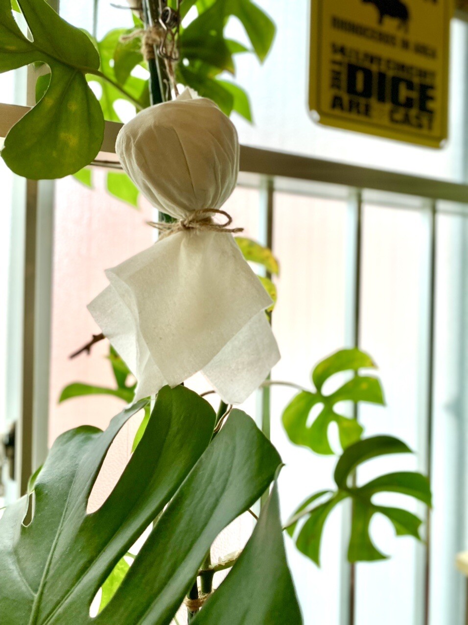 台風がめっちゃ下降して近づいて来てるけど... / - ̗̀ ☺︎ ̖́-Sen_sun- ̗̀ ☺︎ ̖́-さんのモーメント | YAMAP / ヤマップ