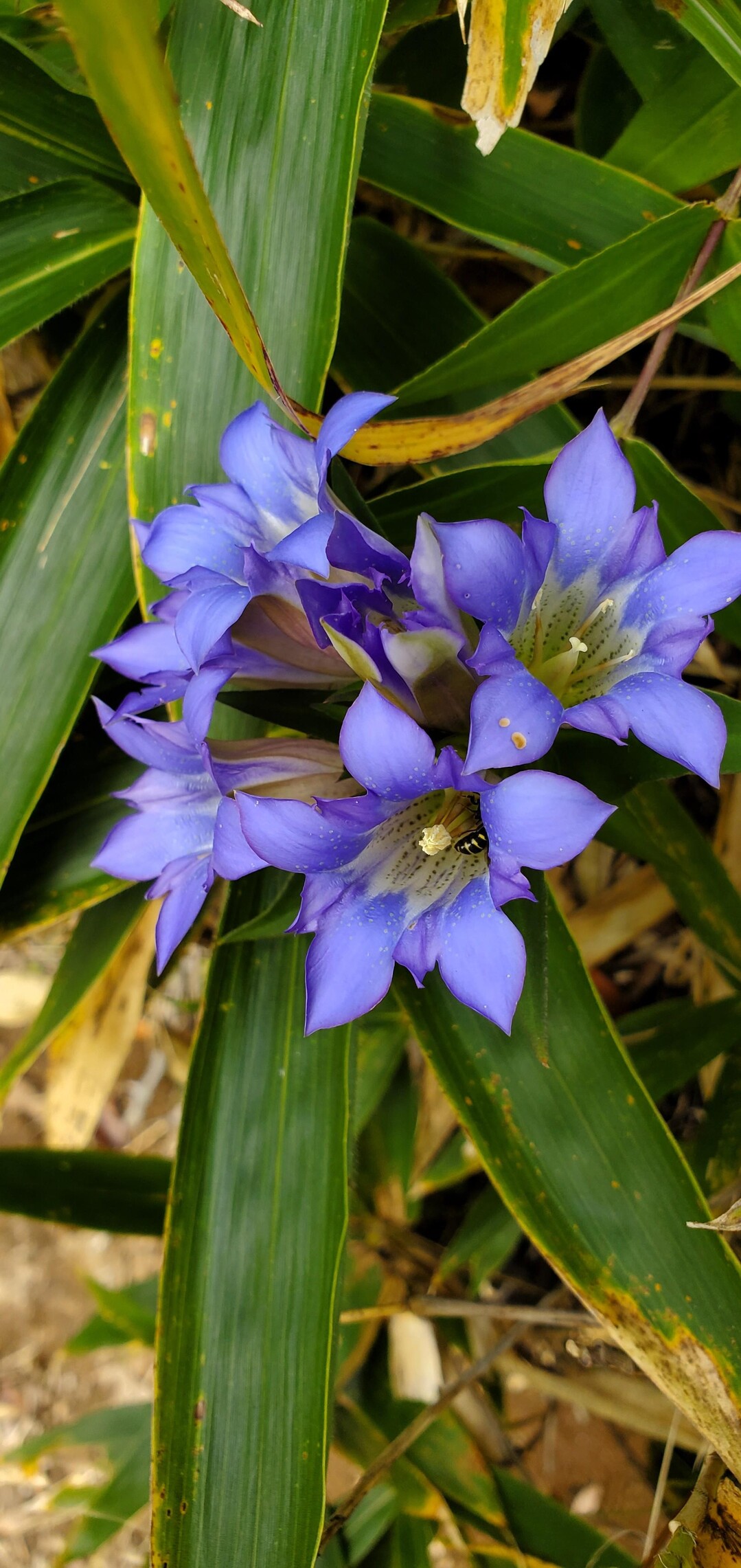 cocoのページ | YAMAP / ヤマップ