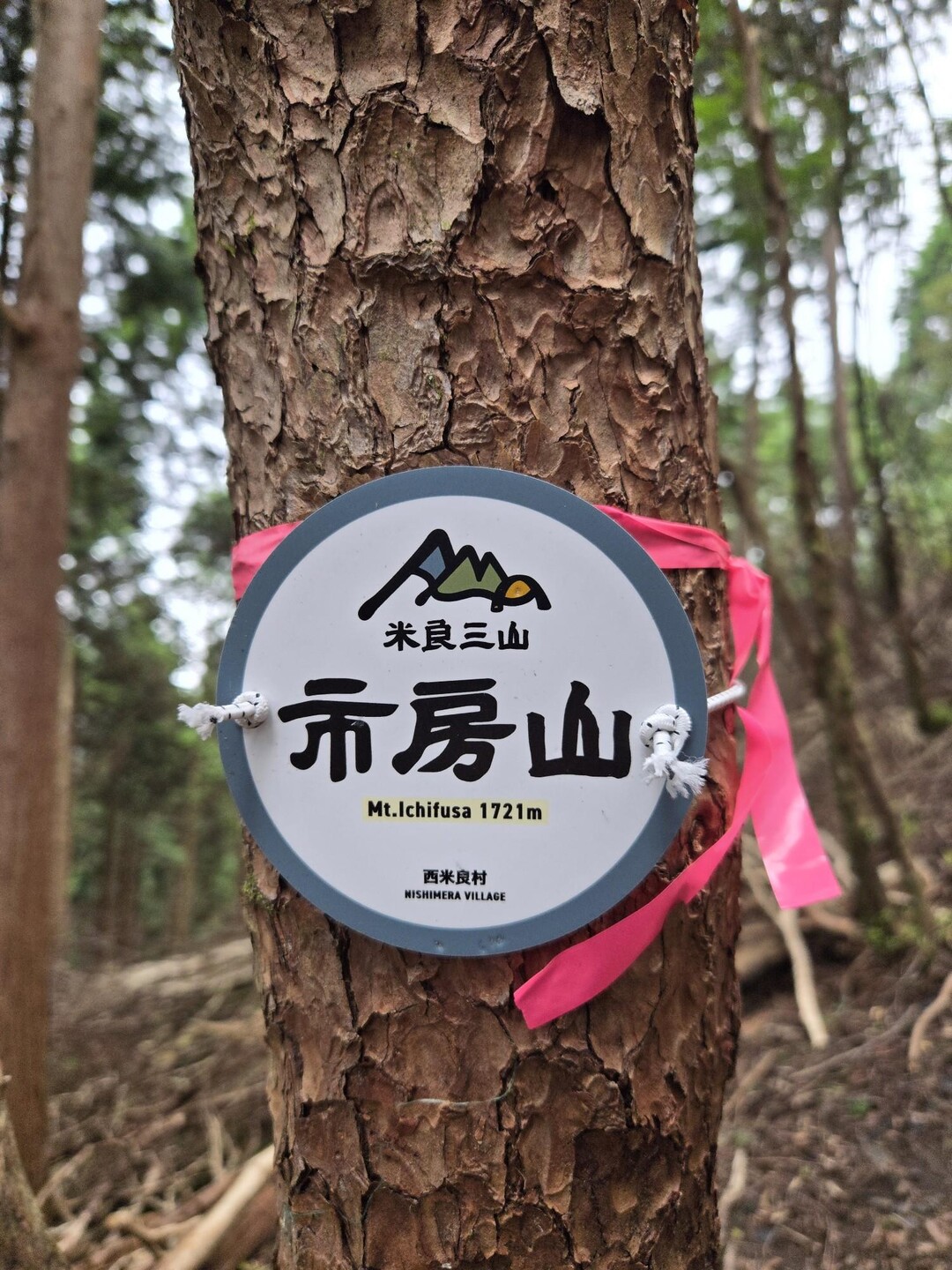 1DAY米良三山(市房山) / あつしさんの市房山の活動データ | YAMAP / ヤマップ