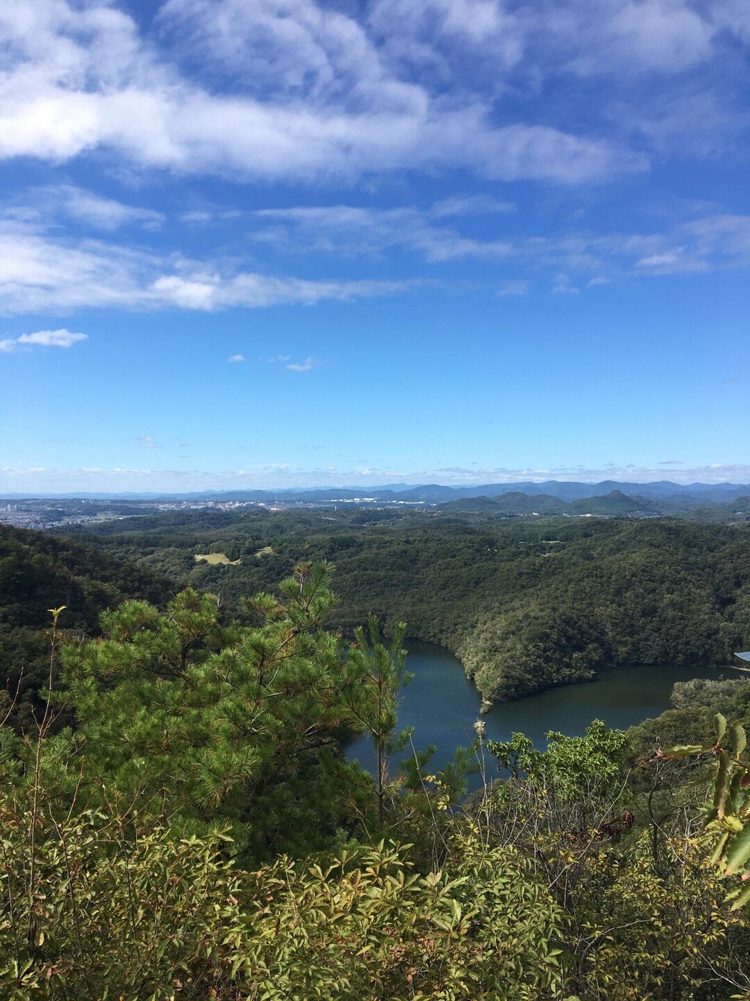 大岩岳・東大岩岳 / shoさんの大岩岳の活動データ | YAMAP / ヤマップ