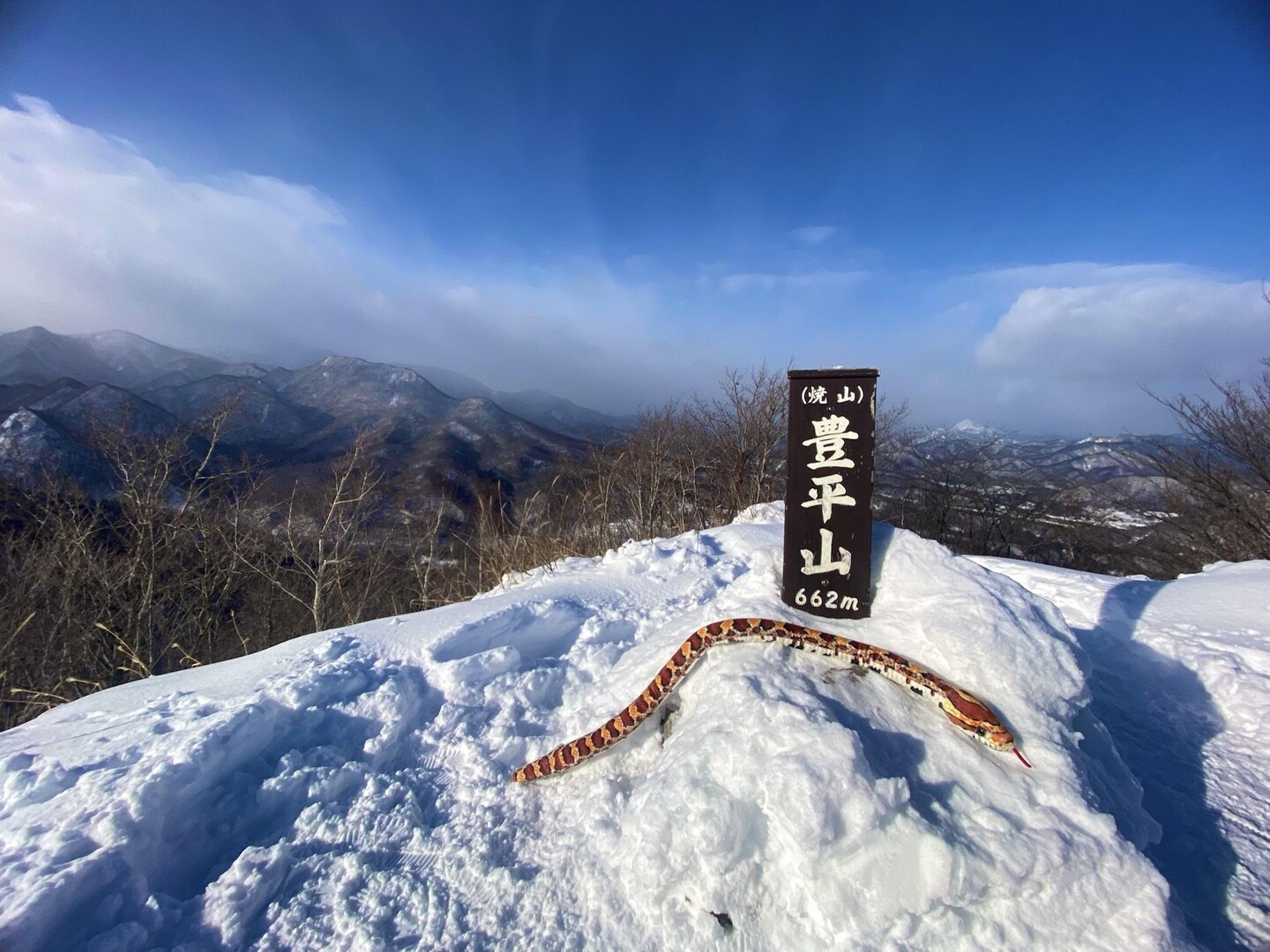①豊平山で尻ボー大破🤣 / yanさんの豊平山（焼山）の活動日記 | YAMAP / ヤマップ