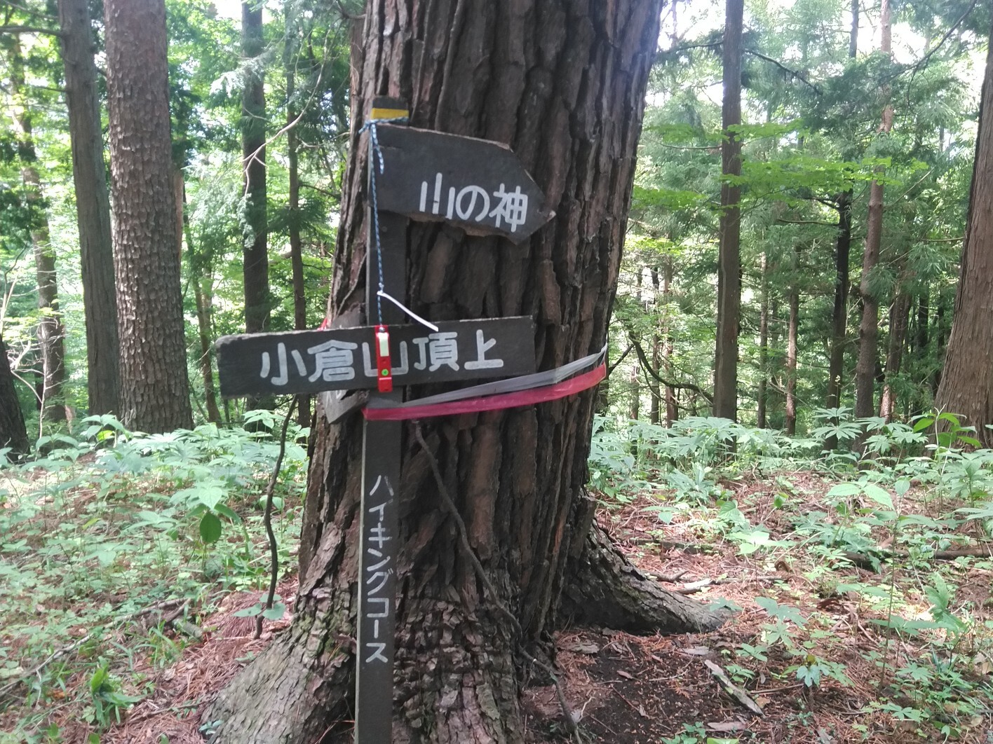 大塚山・北小倉山・小倉山・城山 / hightop さんの富士山の活動データ | YAMAP / ヤマップ