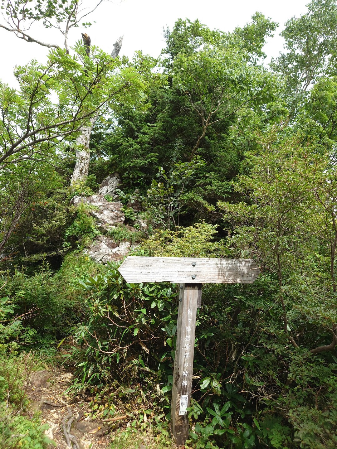 HiroNagさんの投稿したフィールドメモ | YAMAP / ヤマップ