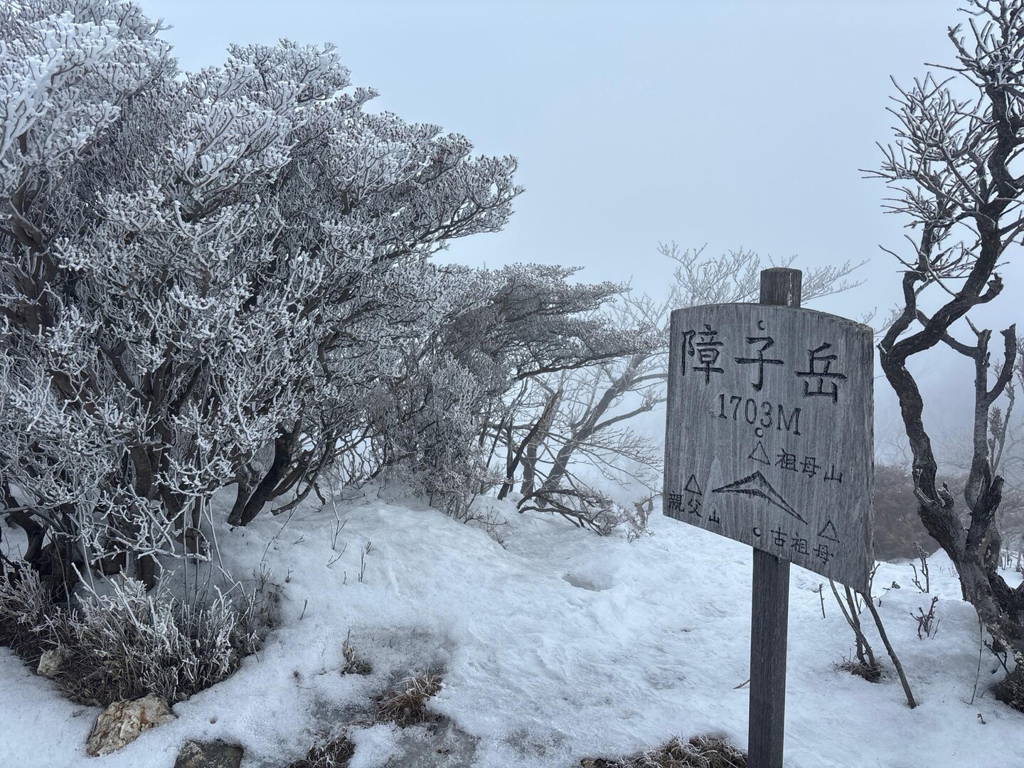 宿題③古祖母山・障子岳 / 🍀kurara🍀さんの祖母山の活動データ | YAMAP / ヤマップ