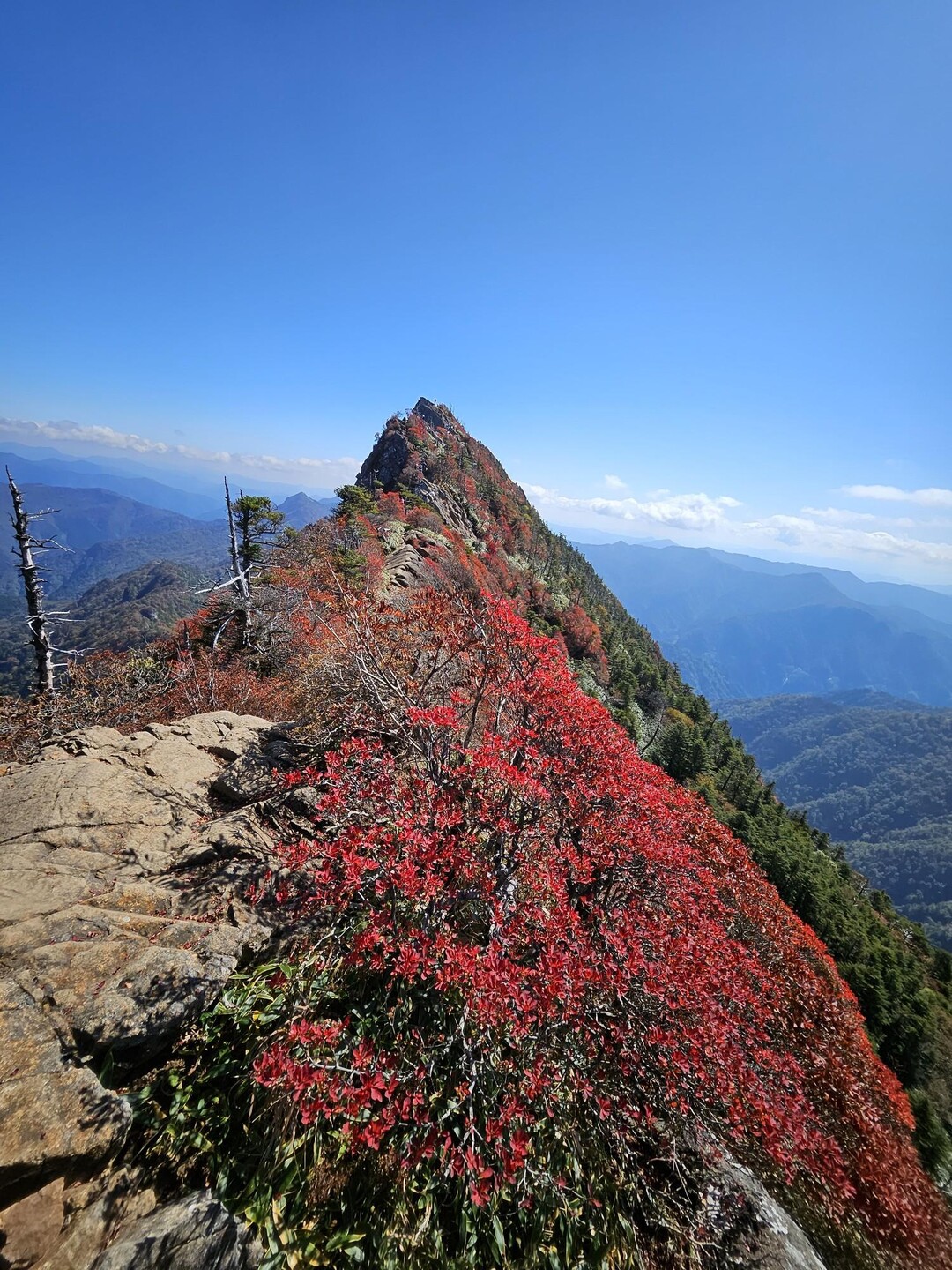 石鎚山・天狗岳・南尖峰 / Ori-chanさんの石鎚山・堂ヶ森・二ノ森の活動データ | YAMAP / ヤマップ