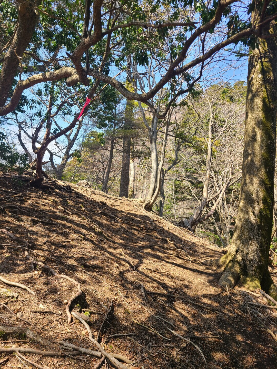 ORIさんの投稿したフィールドメモ | YAMAP / ヤマップ