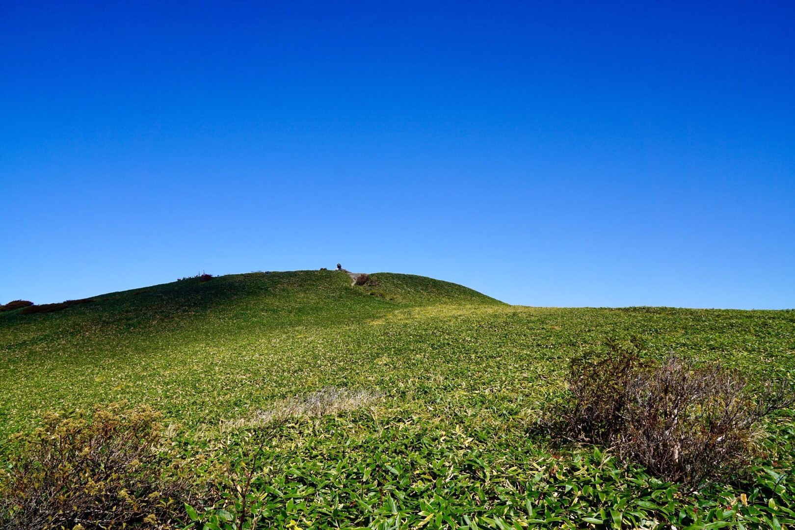 常住・男山・瓶ヶ森・台ヶ森 / taka-cityさんの石鎚山・堂ヶ森・二ノ森の活動データ | YAMAP / ヤマップ