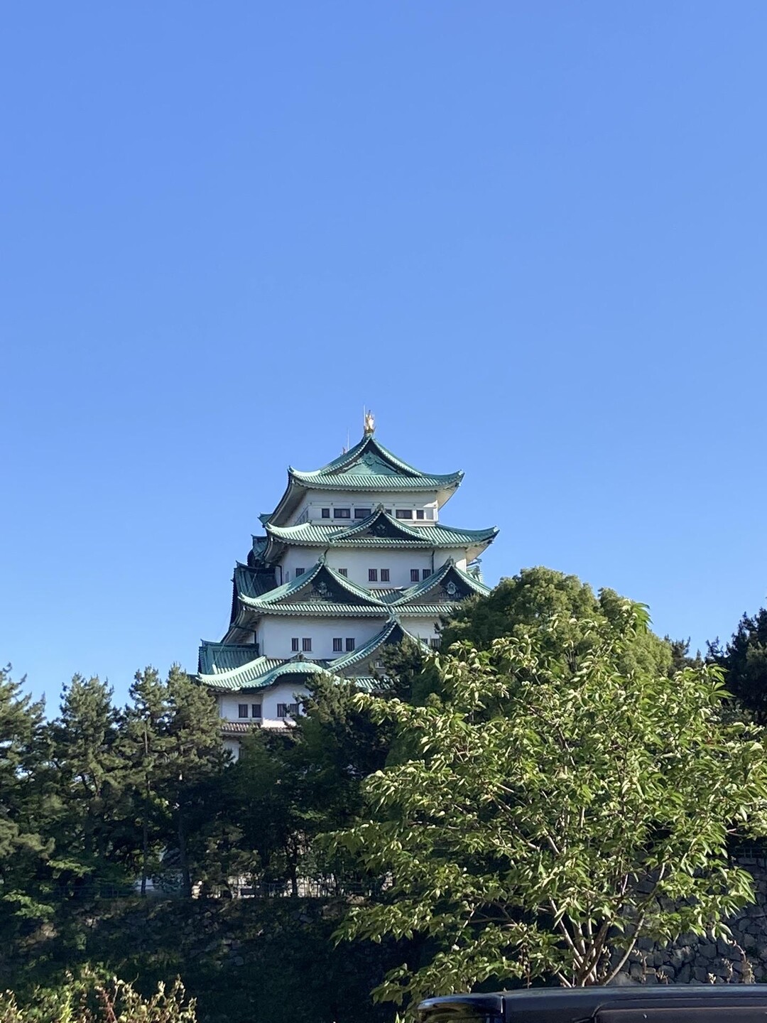 台風🌀一過、強風の下RUNトレーニング... / とみちゃんさんのモーメント | YAMAP / ヤマップ
