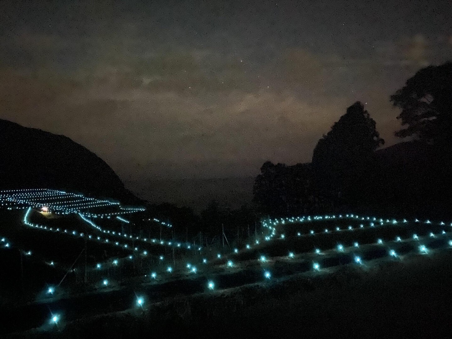 ウォーキング-2022-10-12 田烏棚田 / yumieさんのウォーキングの活動データ | YAMAP / ヤマップ