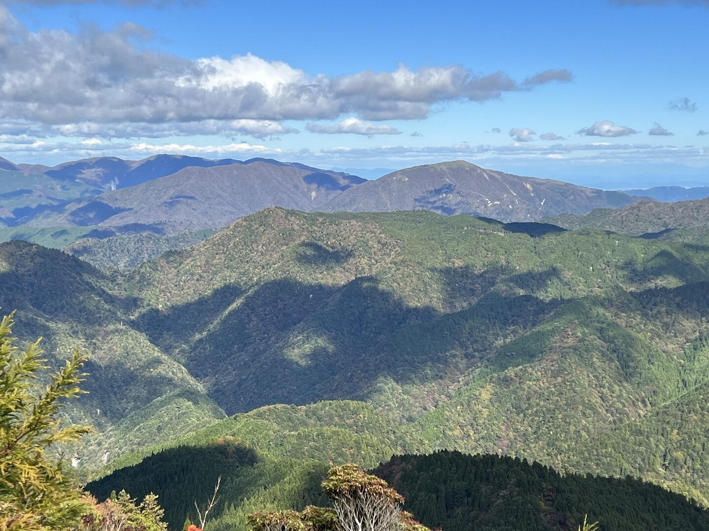 長尾山・銚子ヶ口東嶺・銚子ヶ口・銚子ヶ口南峰・銚子ヶ口西峰・水舟の峰 / Ryomaさんの日本コバの活動データ | YAMAP / ヤマップ