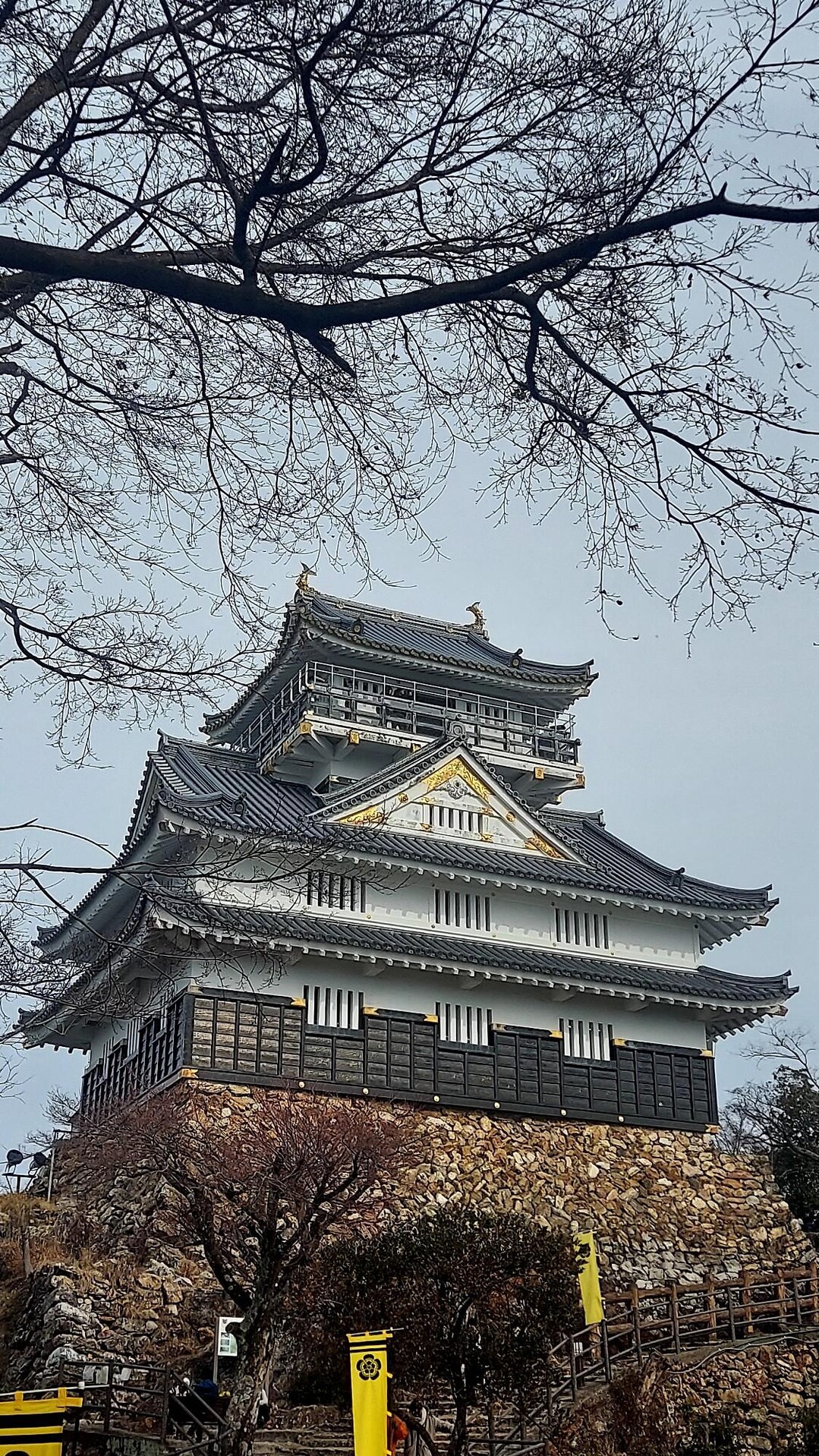 #382金華山 / ツブラ爺さんの金華山・洞山・舟伏山の活動データ | YAMAP / ヤマップ