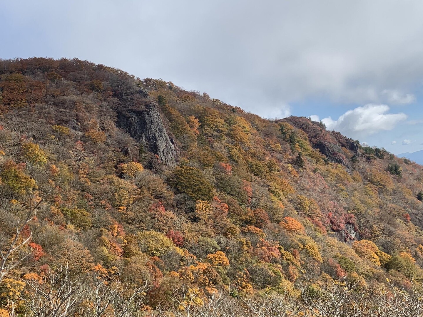 大将旗山 本日Part 1 / りーさんの額取山（安積山）の活動データ | YAMAP / ヤマップ