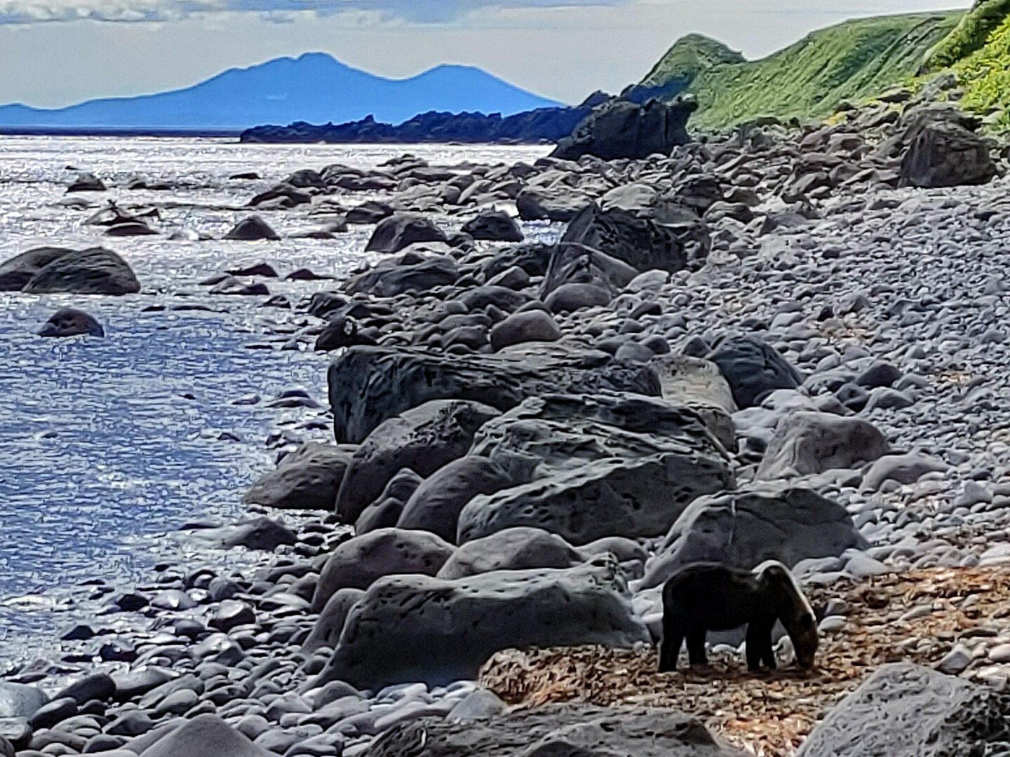 知床岬トレッキング / sikasunさんの知床岳の活動データ | YAMAP / ヤマップ