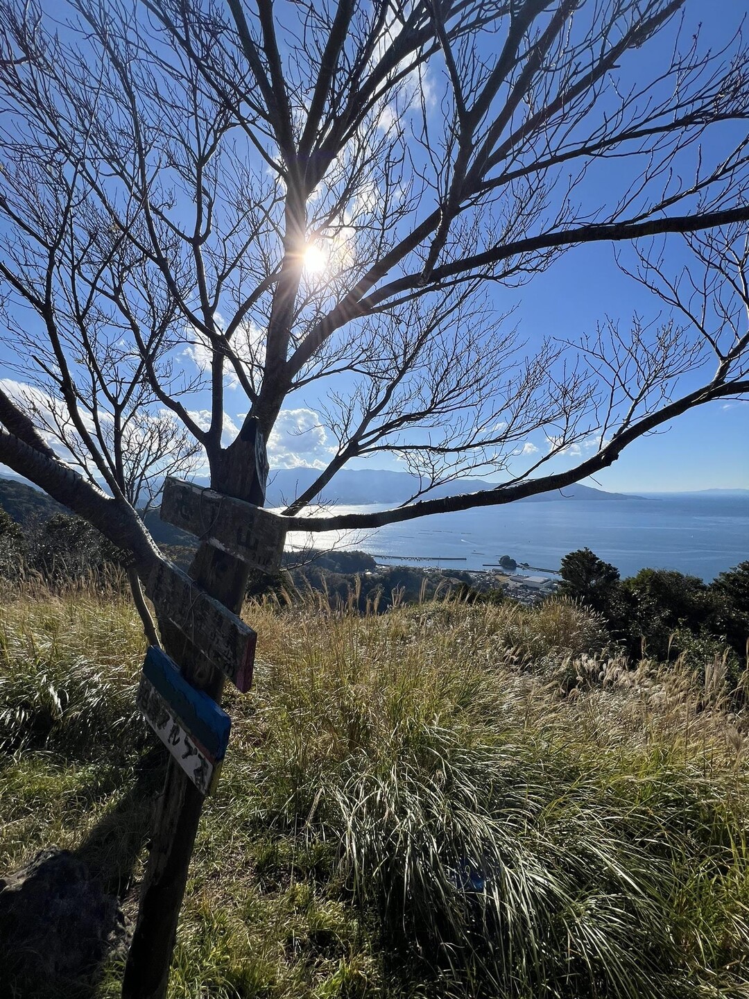 沼津アルプス🐟 / tea003さんの沼津アルプス・鷲頭山・香貫山の活動データ | YAMAP / ヤマップ