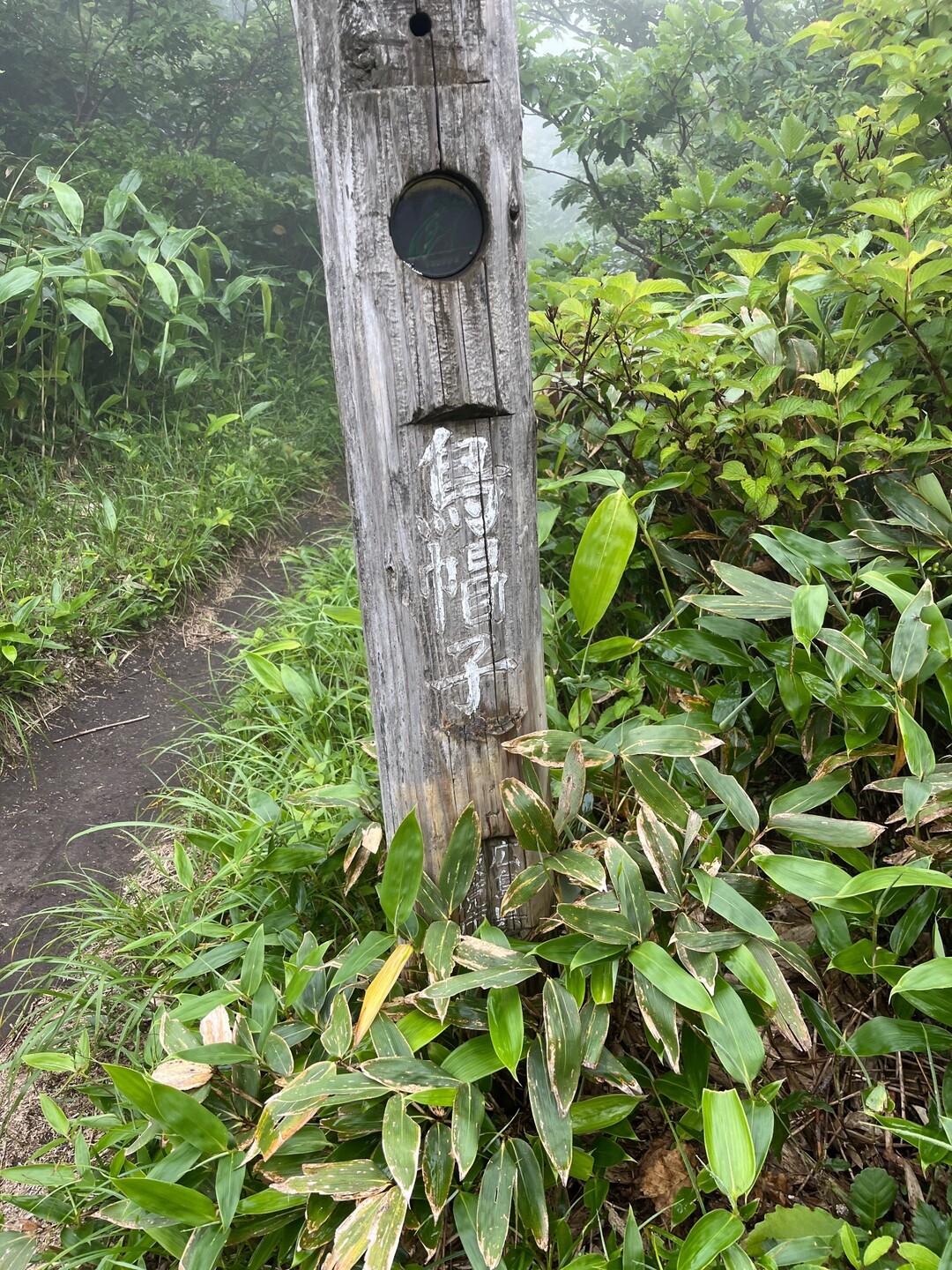 なおちゃんさんの投稿したフィールドメモ | YAMAP / ヤマップ