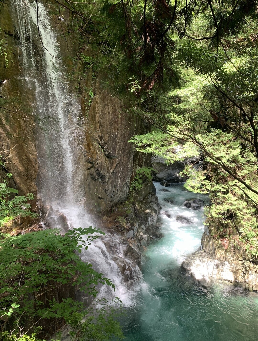 🔅山も好きだけど、滝も好き🤗 滝の音... / ゆぅぅさんのモーメント | YAMAP / ヤマップ