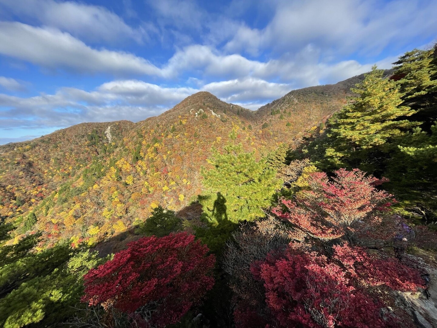 中尾根⇒釈迦ヶ岳の鈴鹿セブンマウンテン / Y.PANDAさんの釈迦ヶ岳の活動データ | YAMAP / ヤマップ