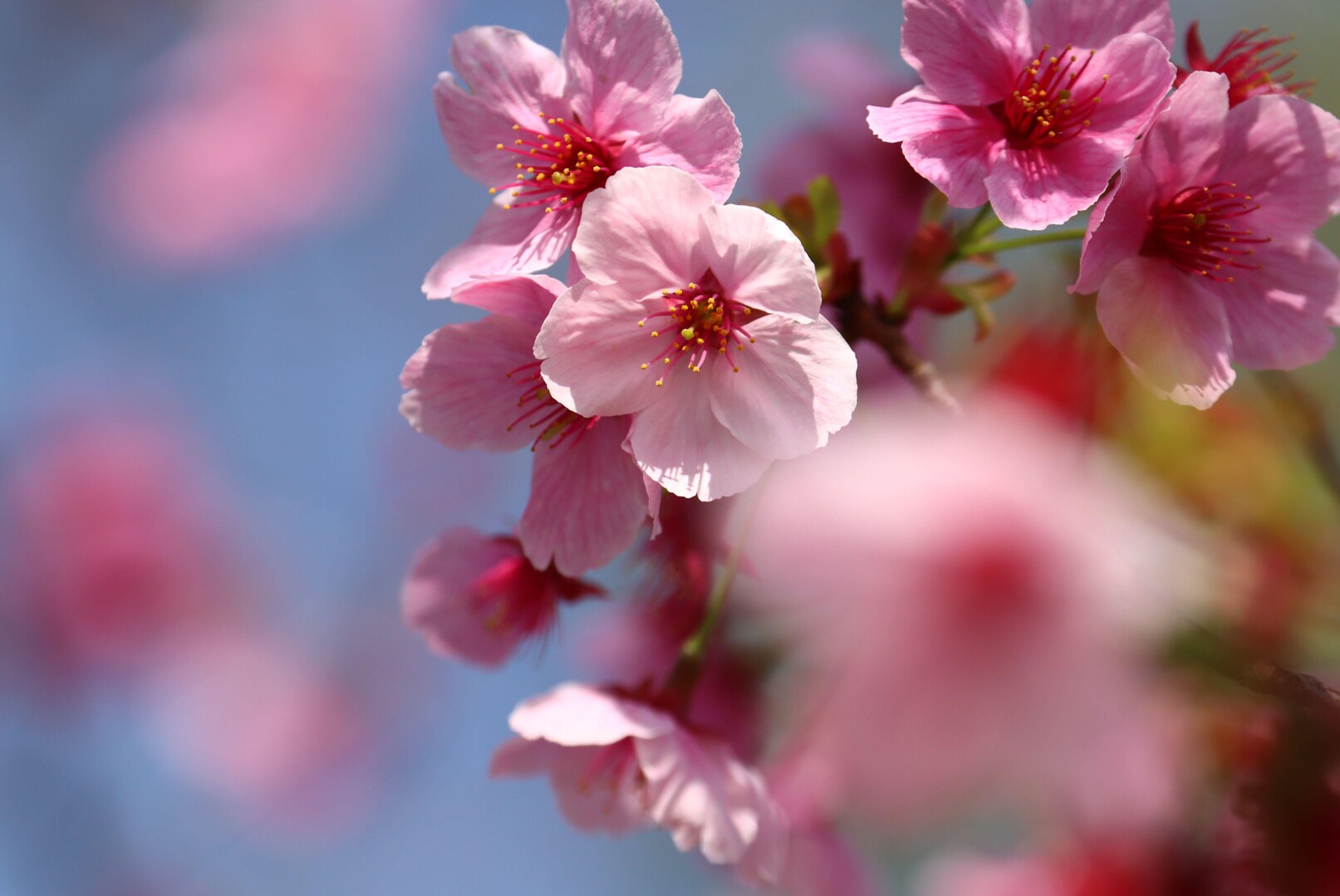 今日は娘’sが帰宅する日ということで..... / R1さんのモーメント | YAMAP / ヤマップ