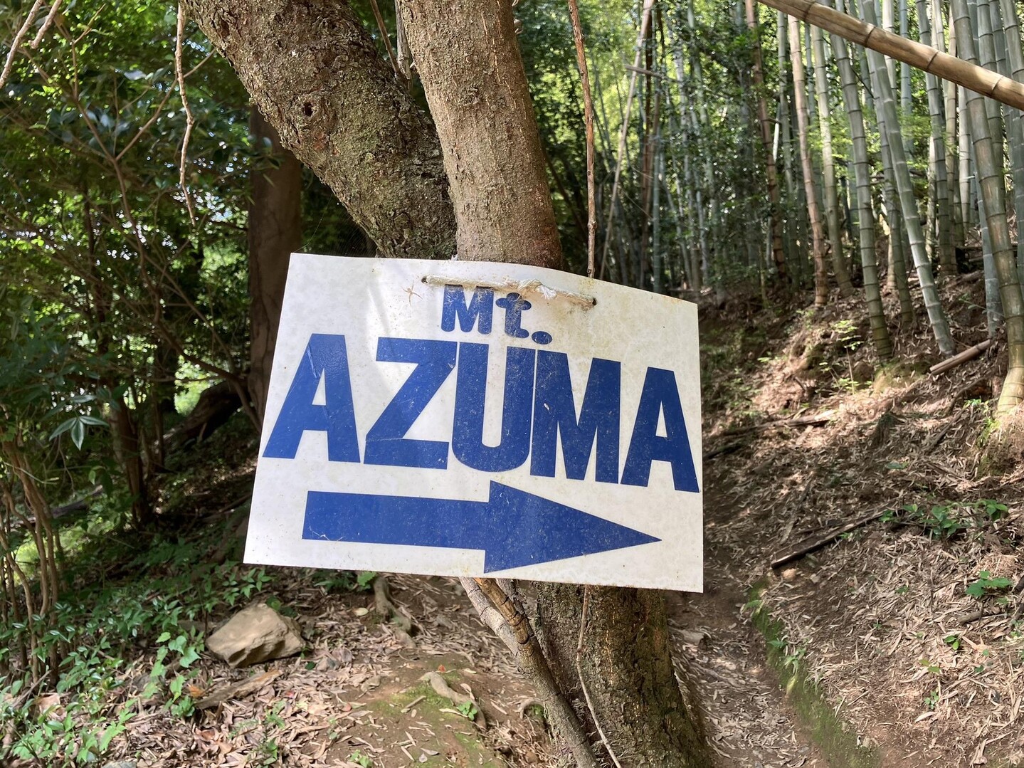 吾妻山 ٩(^‿^)۶ / REI - KOさんの鳴神山・吾妻山の活動データ | YAMAP / ヤマップ