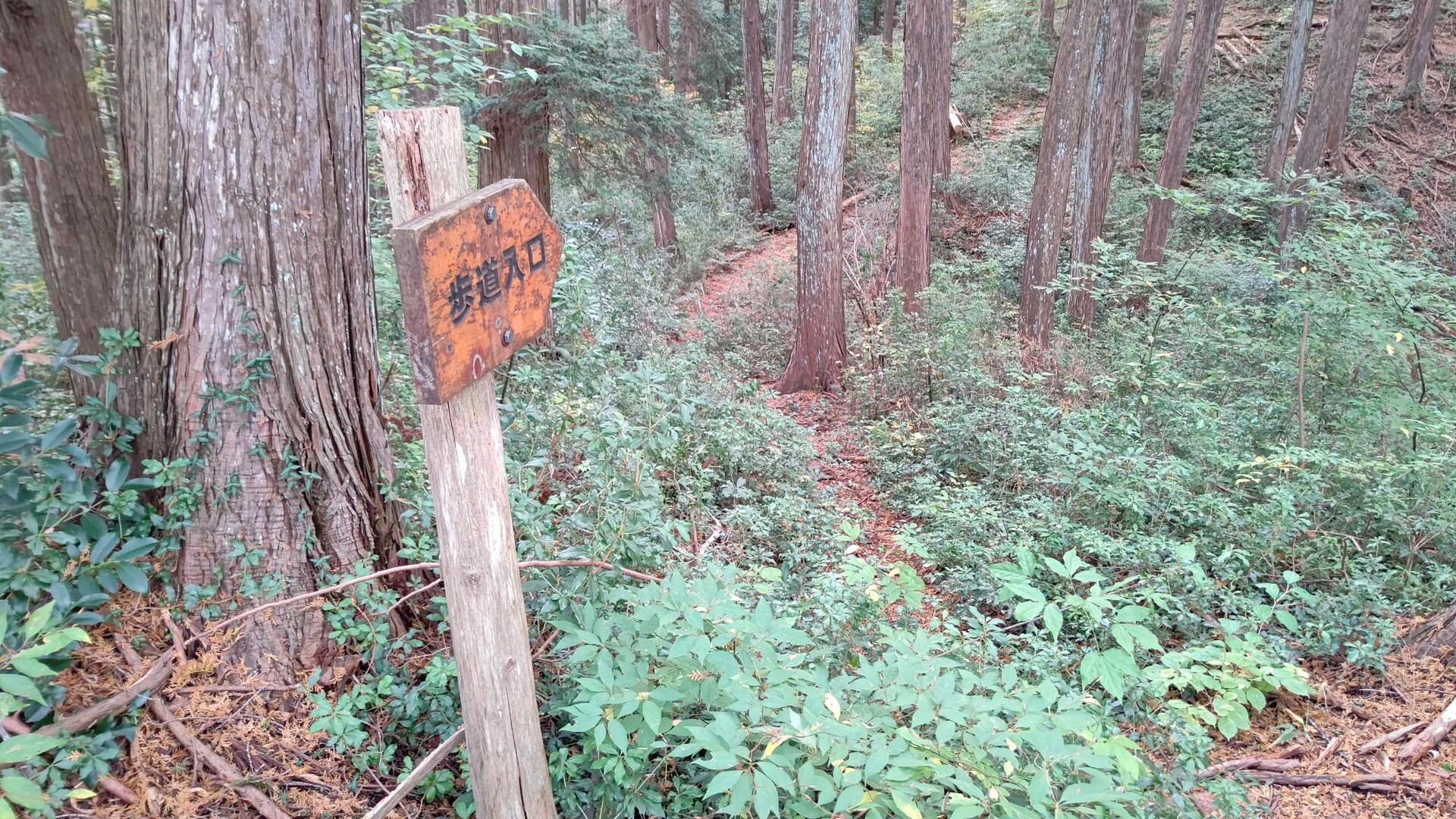 masakiさんの投稿したフィールドメモ | YAMAP / ヤマップ