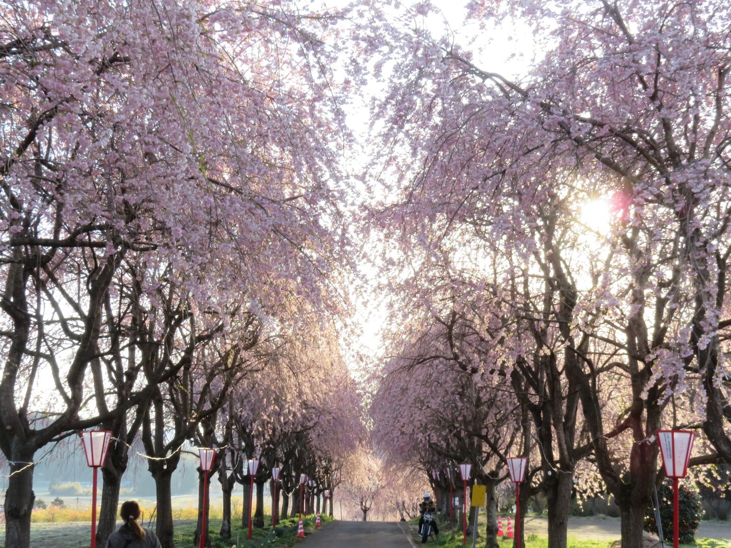 2021.04.09(金) 22:14 / ケロケロ🐸🐸🐸さんのモーメント | YAMAP / ヤマップ