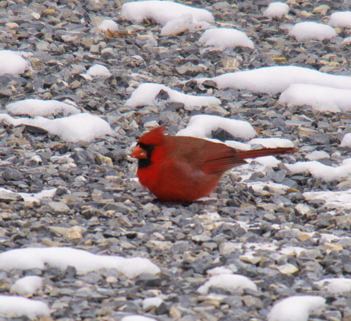 TakeC のページ | YAMAP / ヤマップ