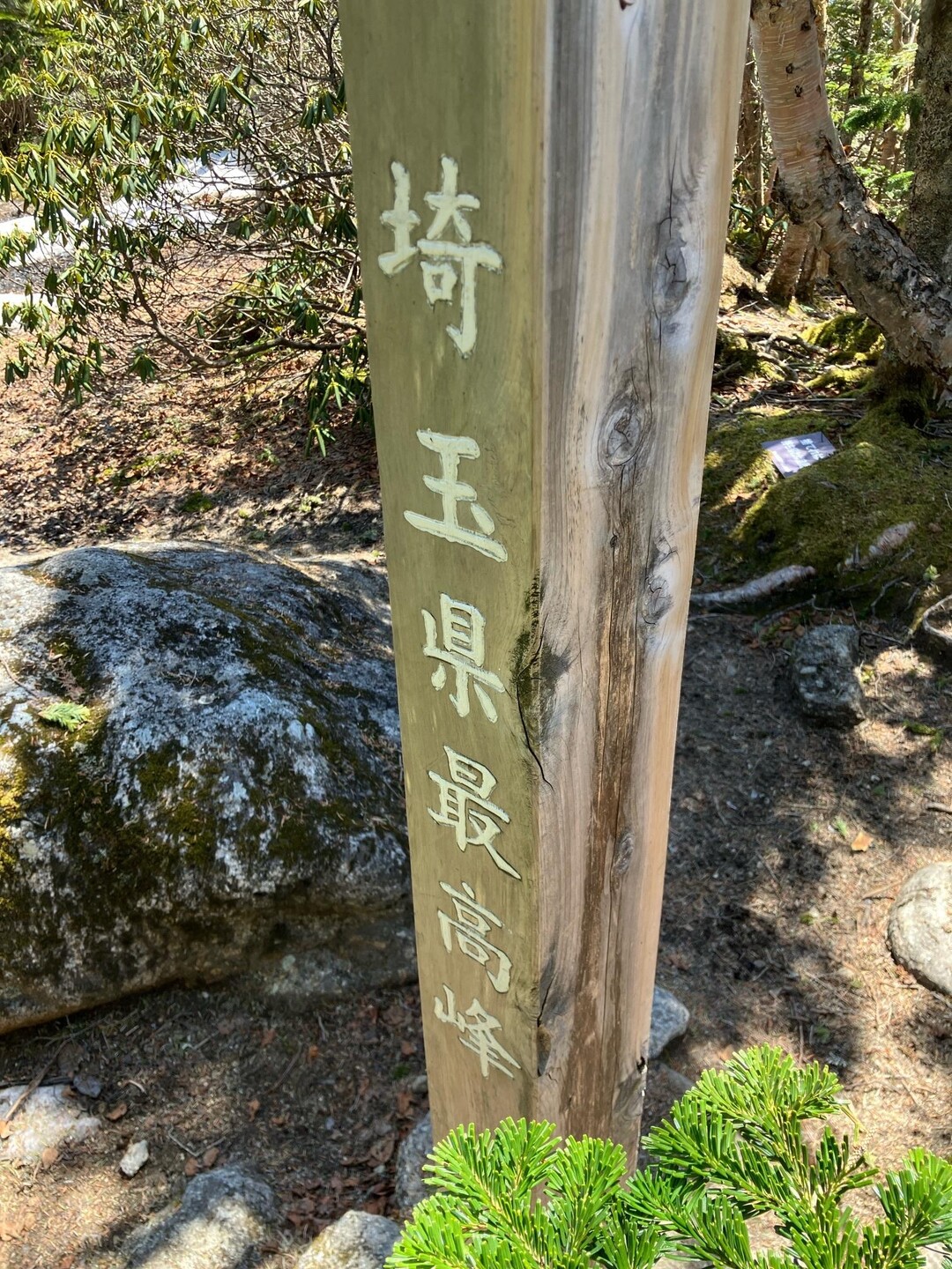 甲武信ヶ岳・三宝山・武信白岩山 / CPさんの甲武信ヶ岳の活動データ | YAMAP / ヤマップ