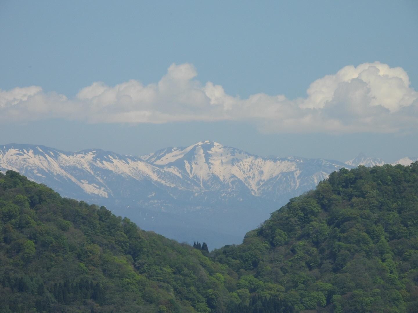 八乙女山 / magさんの牛岳の活動日記 | YAMAP / ヤマップ