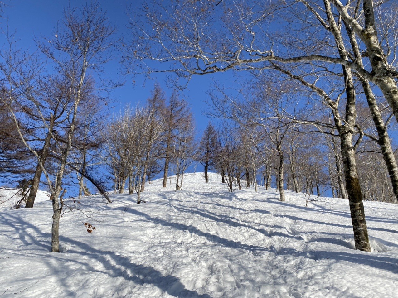 【猪臥山】感涙の山頂360度大パノラマ / random walkerさんの猪臥山の活動データ | YAMAP / ヤマップ