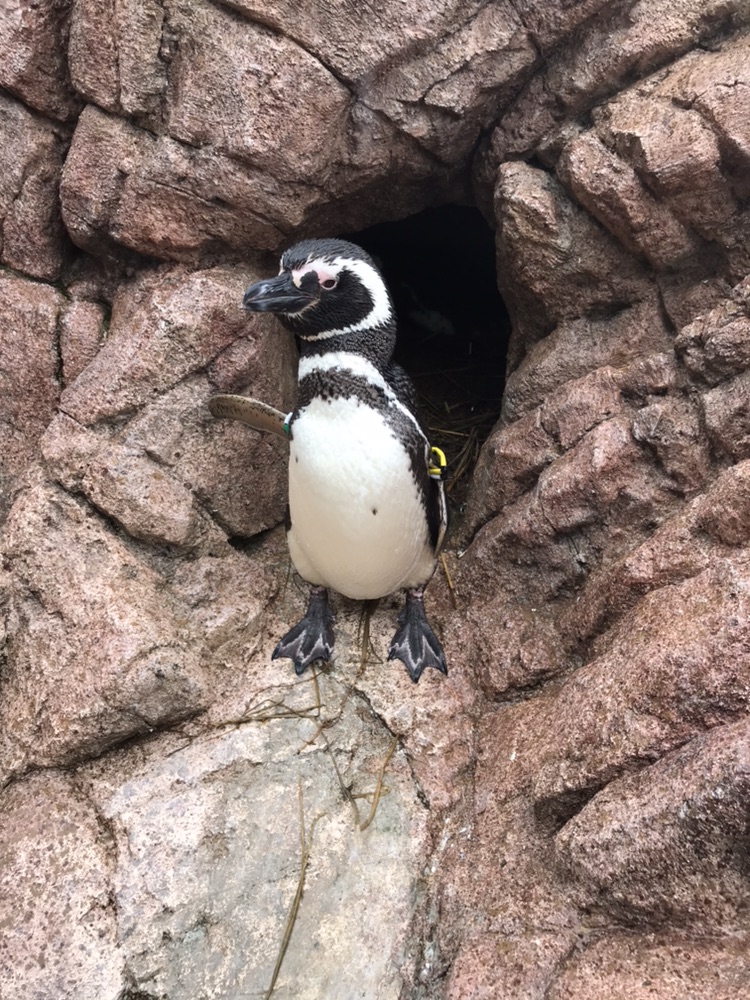 mierinがフォローしているユーザー一覧 | YAMAP / ヤマップ