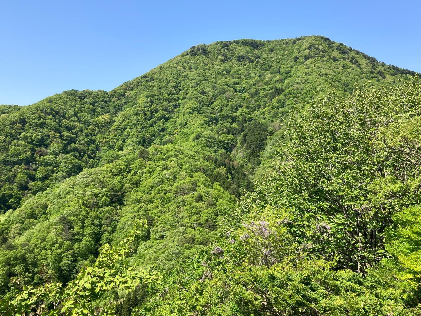 動山 親子三人で山登り / sono_01さんの大倉岳・蓮如山の活動データ | YAMAP / ヤマップ