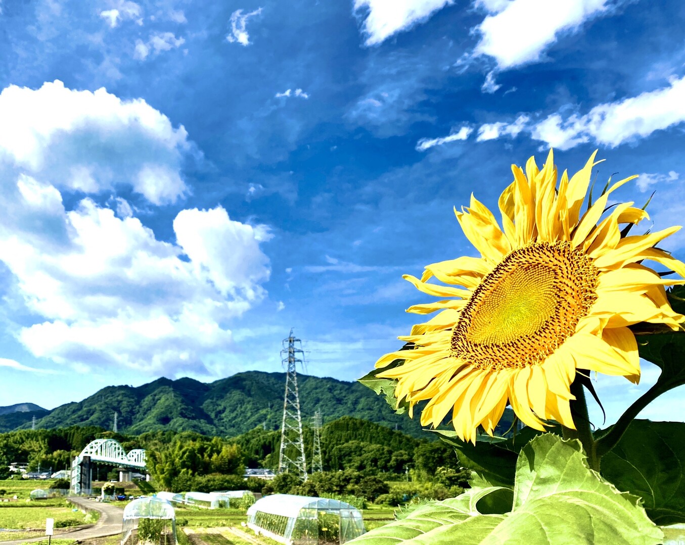 朝から梅雨らしからぬ強い日差し。クッキ... / ケムタク（Kemutaku）さんのモーメント | YAMAP / ヤマップ