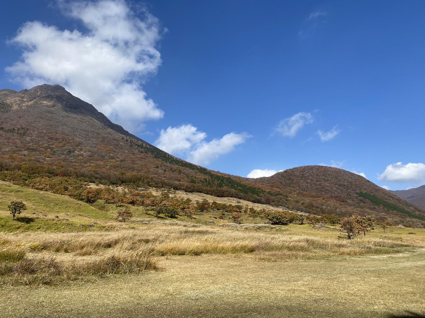 由布岳（東峰）・由布岳（西峰・豊後富士） / chi-meroさんの由布岳・鶴見岳の活動データ | YAMAP / ヤマップ