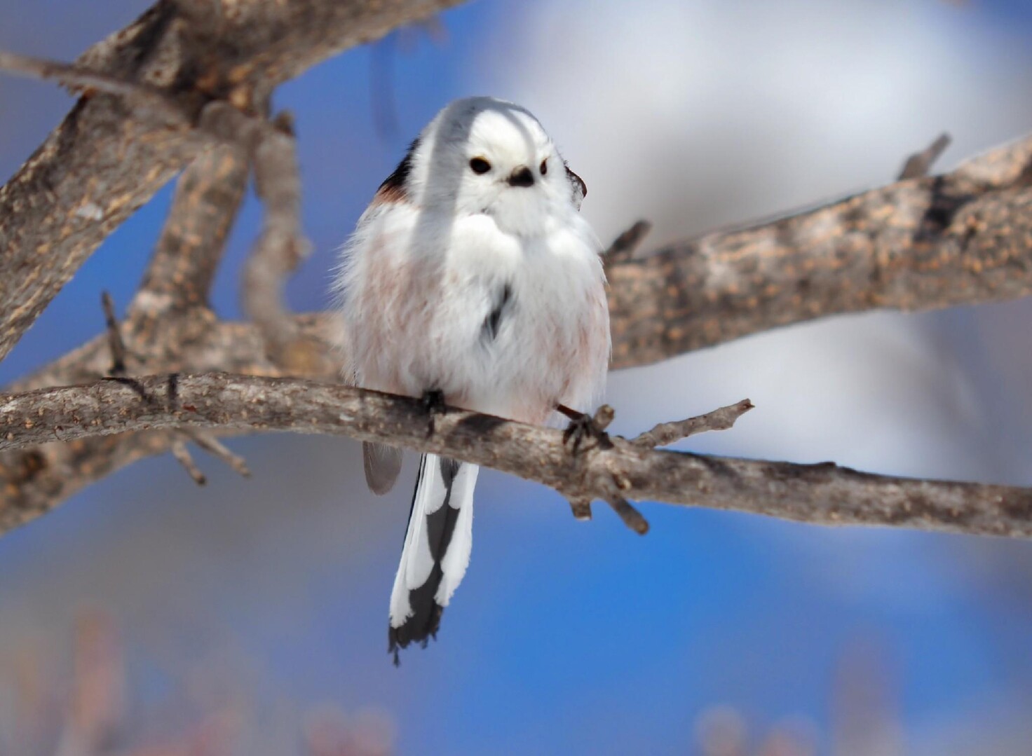 今日はシマちゃんと遊んできた～ / doaraさんのモーメント | YAMAP / ヤマップ