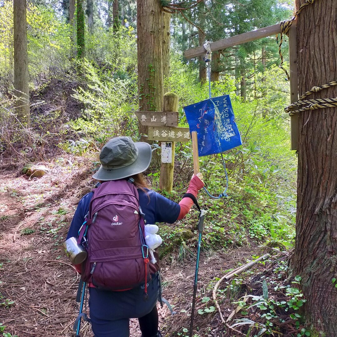 好きです杢蔵山🏞️ / jtyhじじさんの杢蔵山・八森山の活動データ | YAMAP / ヤマップ