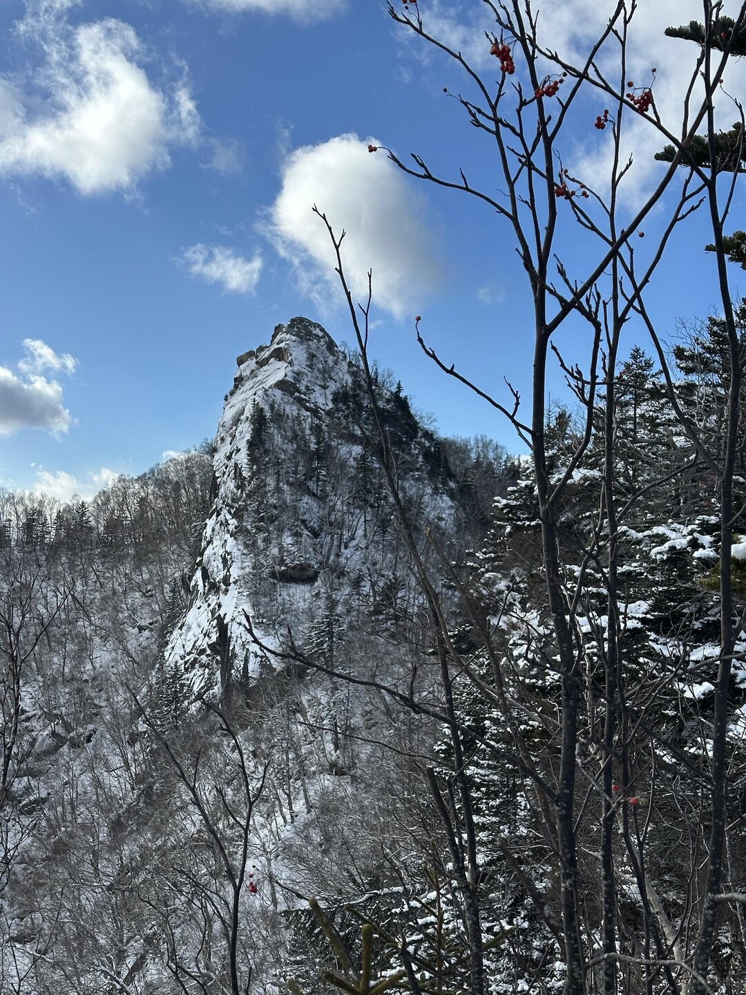 剣山 / koji iさんの芽室岳・久山岳・剣山の活動データ | YAMAP / ヤマップ