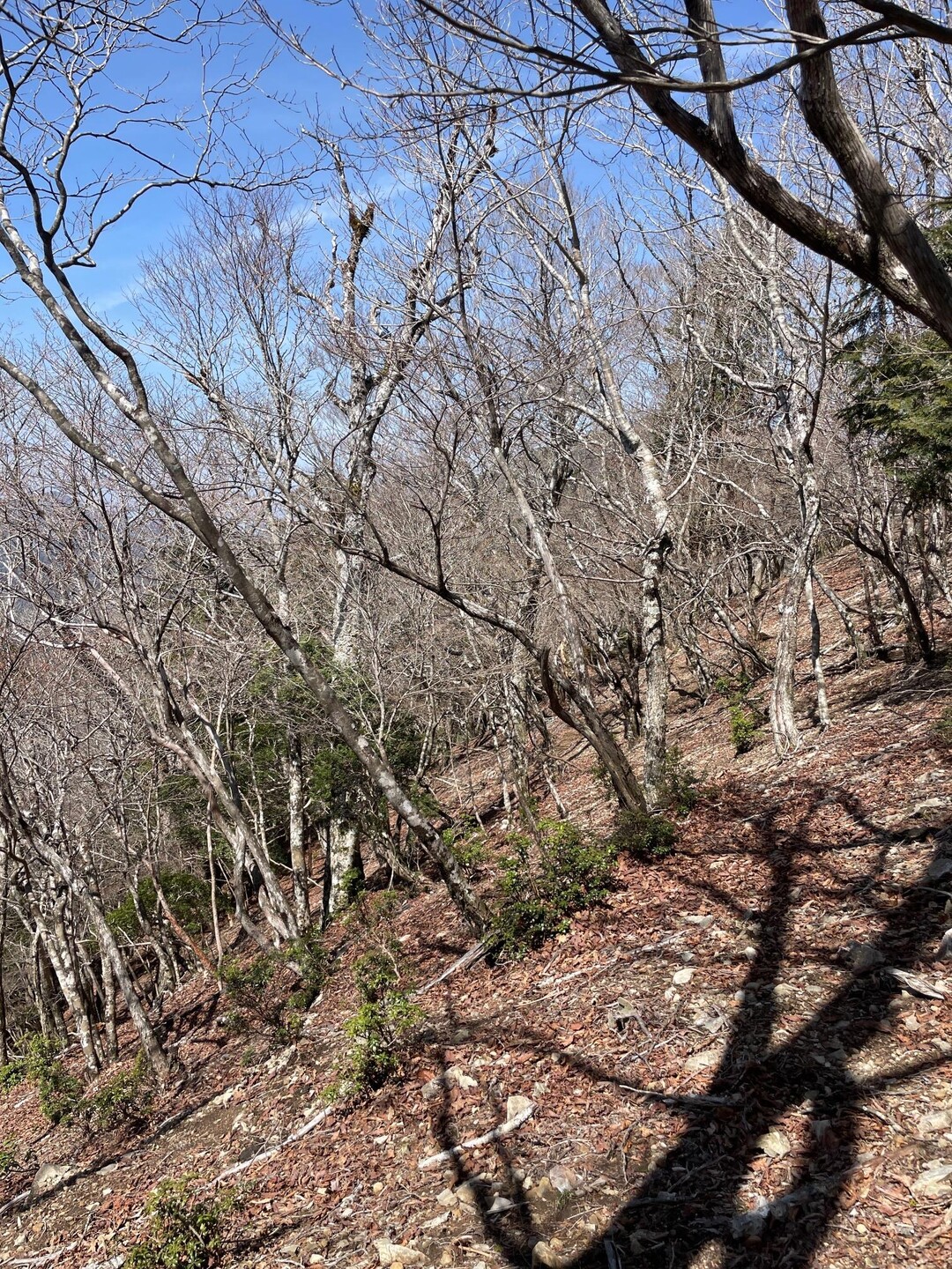 rnrさんの投稿したフィールドメモ | YAMAP / ヤマップ