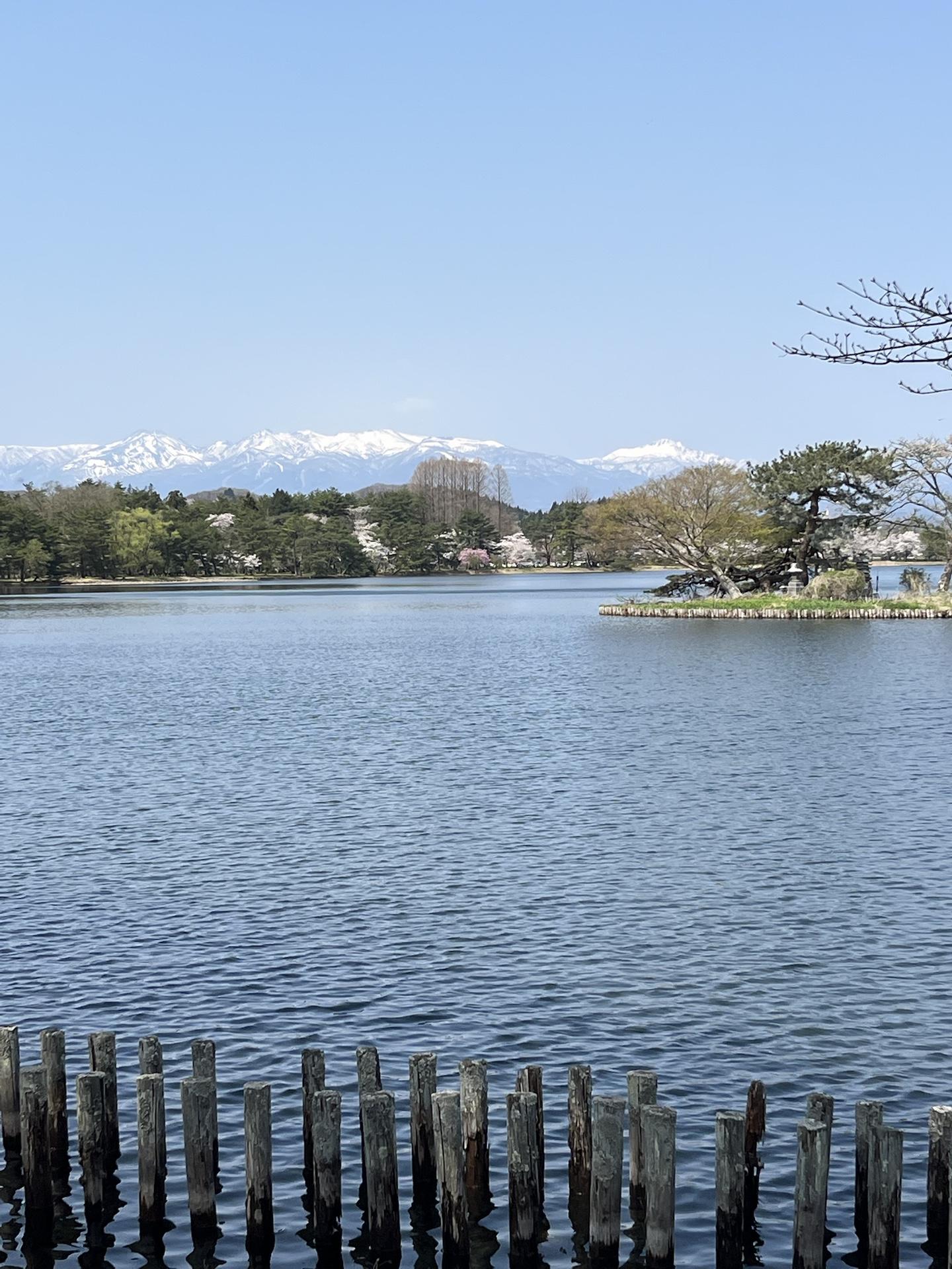 2025.04.17(木) 01:37 / ムーさんのモーメント | YAMAP / ヤマップ