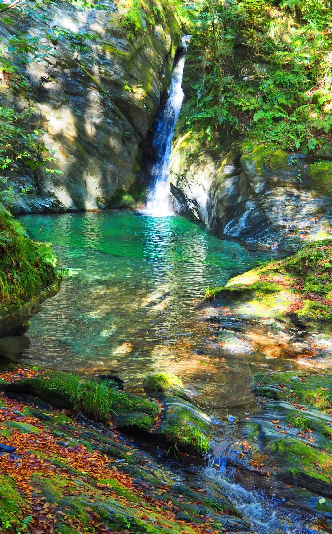 【秋の真骨頂🍁】 ”日の当たる11時... / aiさんのモーメント | YAMAP / ヤマップ