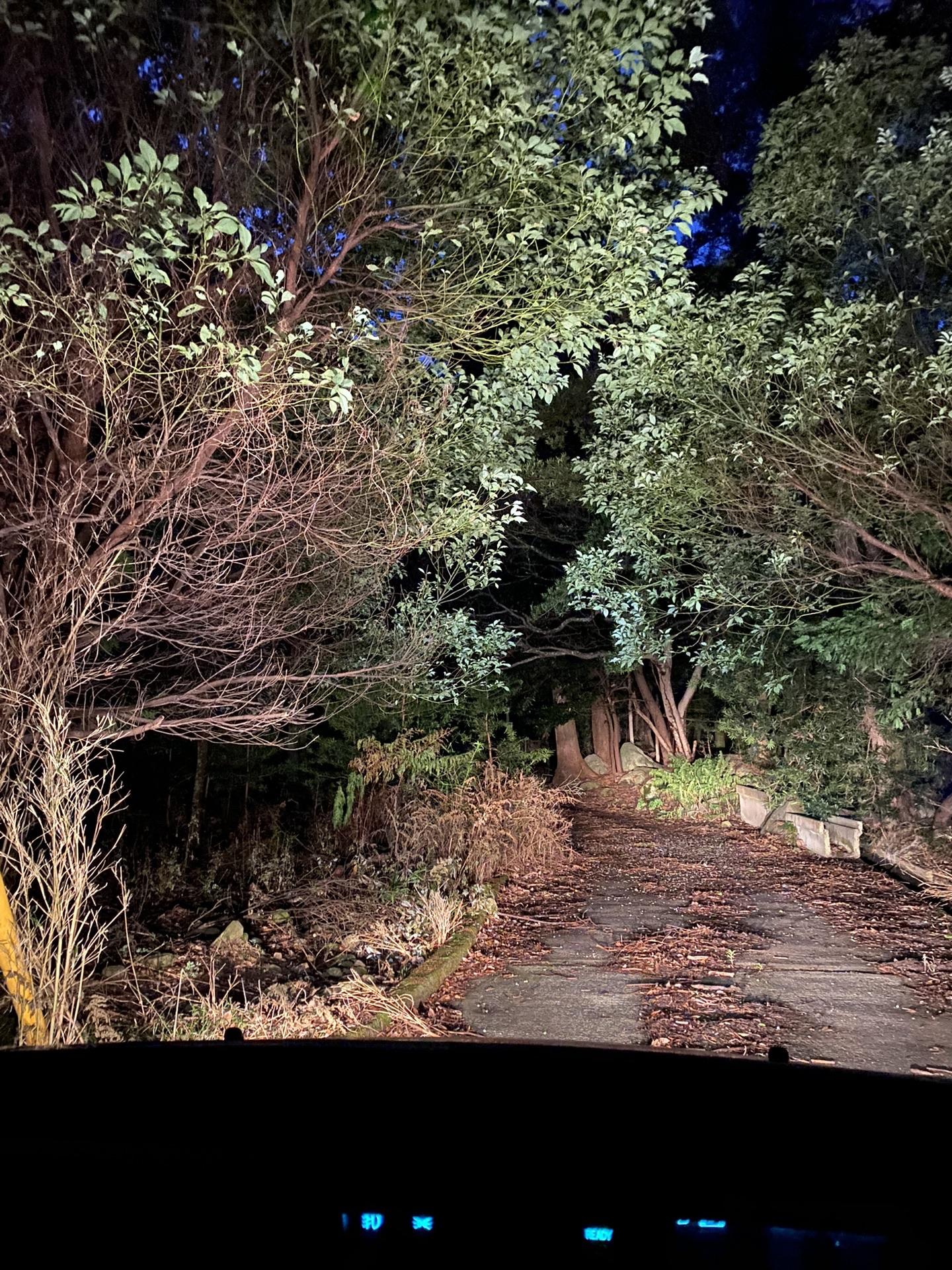 あ〜 どこよココ!? 出発時Googl... / Milkyさんのモーメント | YAMAP / ヤマップ