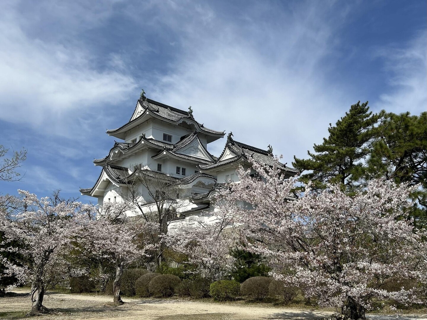 伊賀上野城 / annaさんのウォーキングの活動データ | YAMAP / ヤマップ