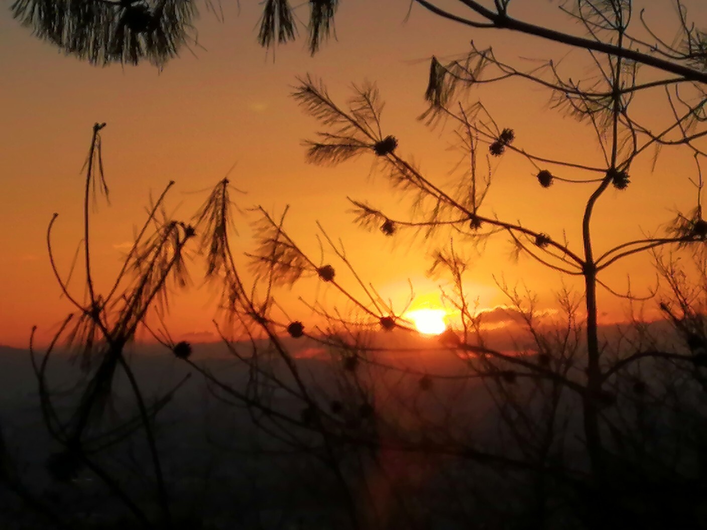 ソロ17 甲山 初日の出 / J.BOYさんの六甲山・長峰山・摩耶山の活動データ | YAMAP / ヤマップ