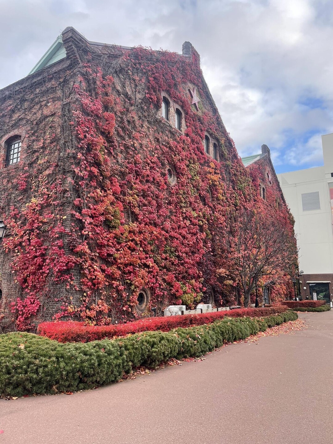 円山 & walking / つよしさんの藻岩山の活動データ | YAMAP / ヤマップ