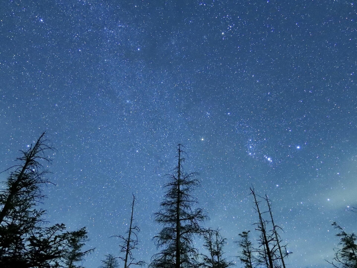 大川入山 / Lacbleuさんの大川入山・横岳の活動データ | YAMAP / ヤマップ